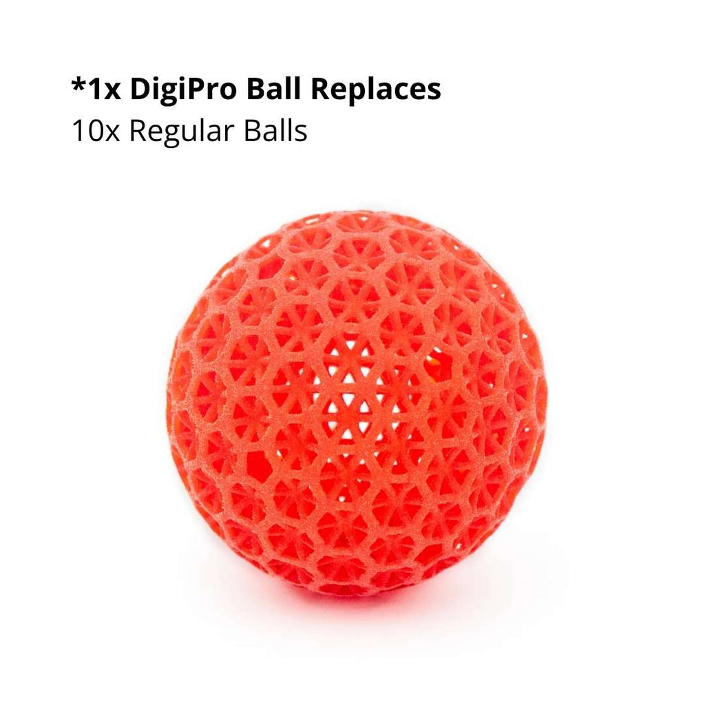 Accel Digital Sports